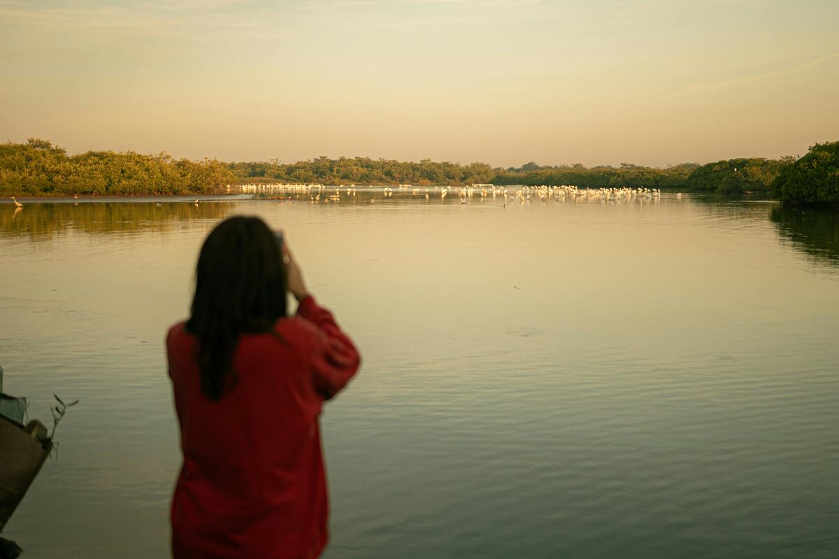 Sunset over Albufera lagoon