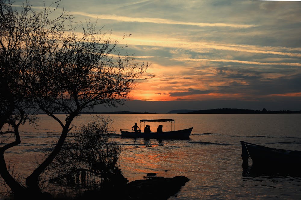 Sunset boat ride on Albufera lagoon