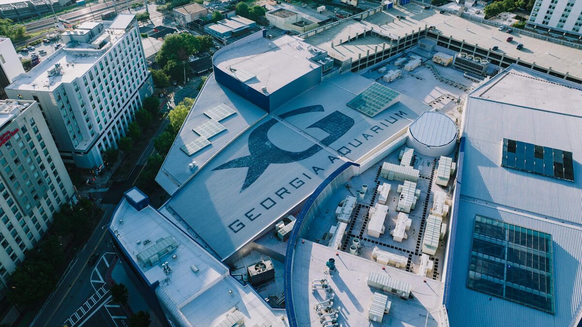 Modern aquarium architecture