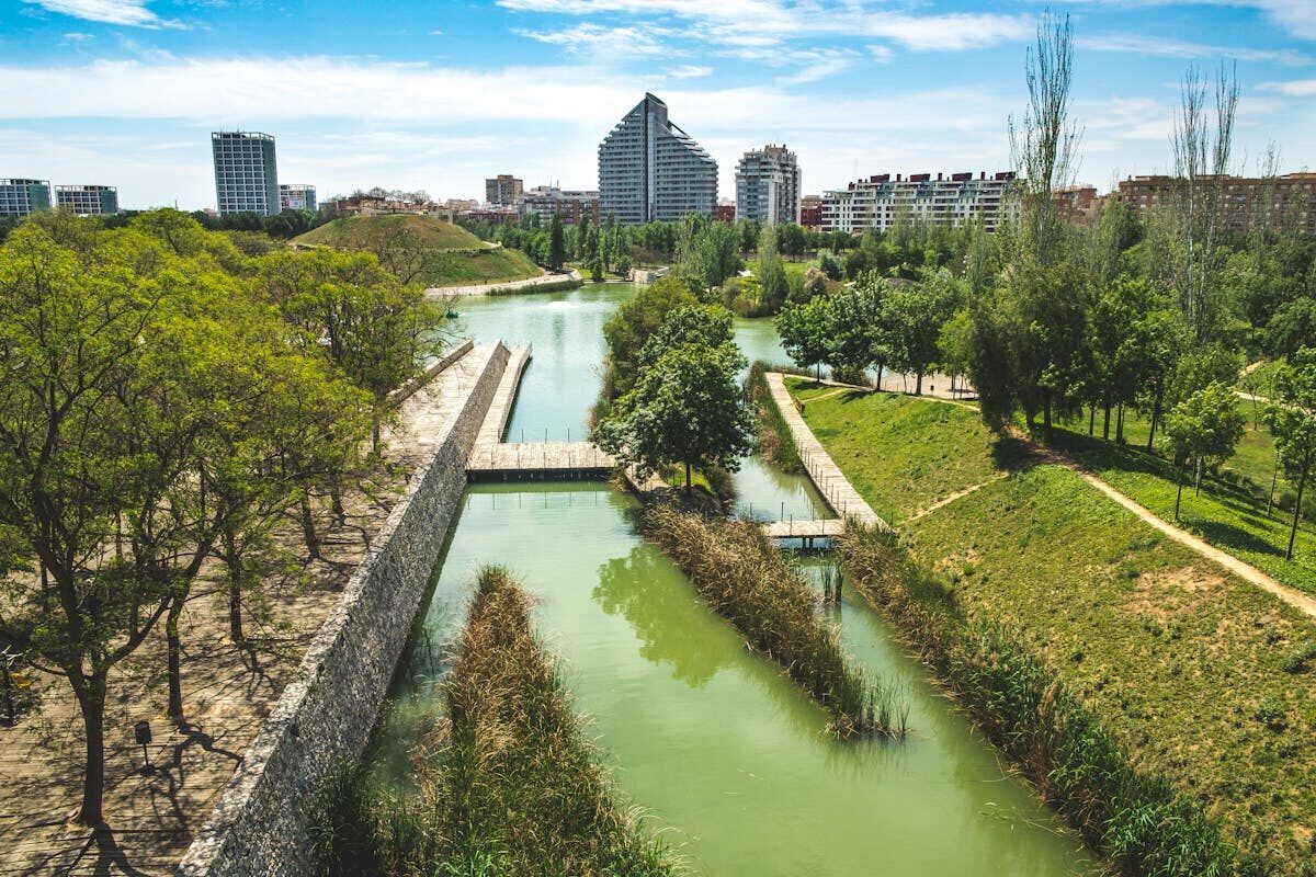 Aerial view of Turia Gardens with modern buildings in Valencia
