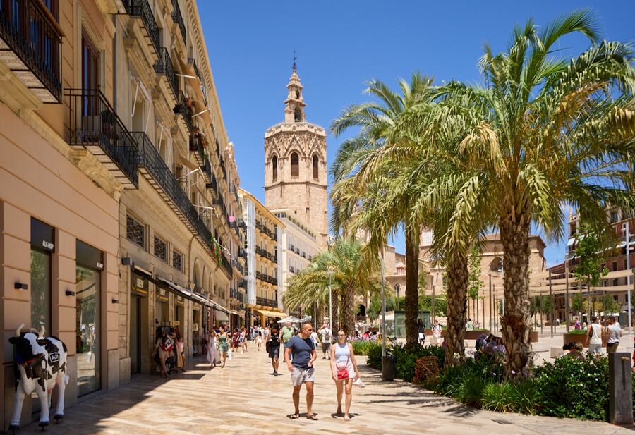 Sunny Valencia street with palm trees and cathedral bell tower visible