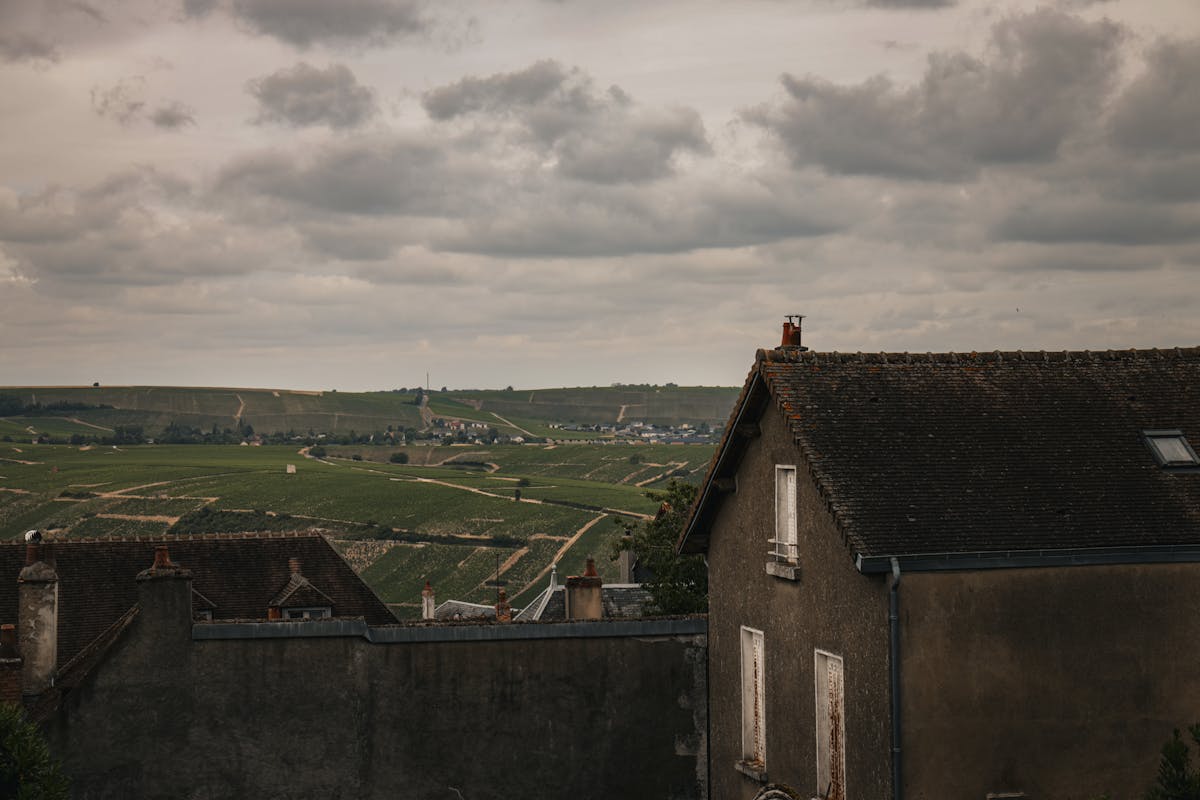 Rolling hills and vineyards in the French countryside near Sancerre