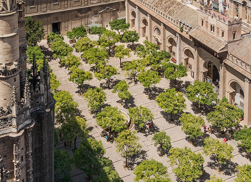 Aerial view of the Patio de los Naranjos orange tree courtyard from the top of the Giralda tower