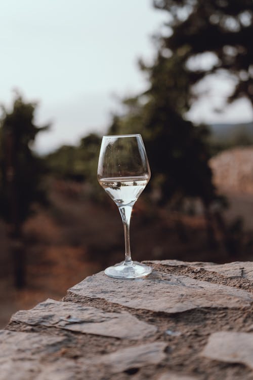 A clear wine glass on a stone ledge with a blurred vineyard background, evoking a summer evening.