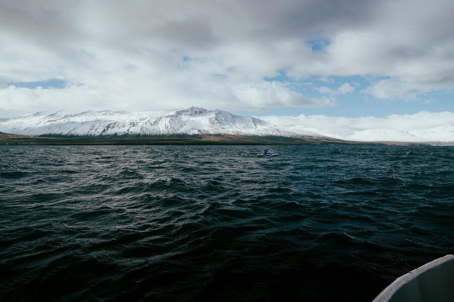 A serene view of snow-capped mountains and a fjord in Árskógssandur, Iceland.