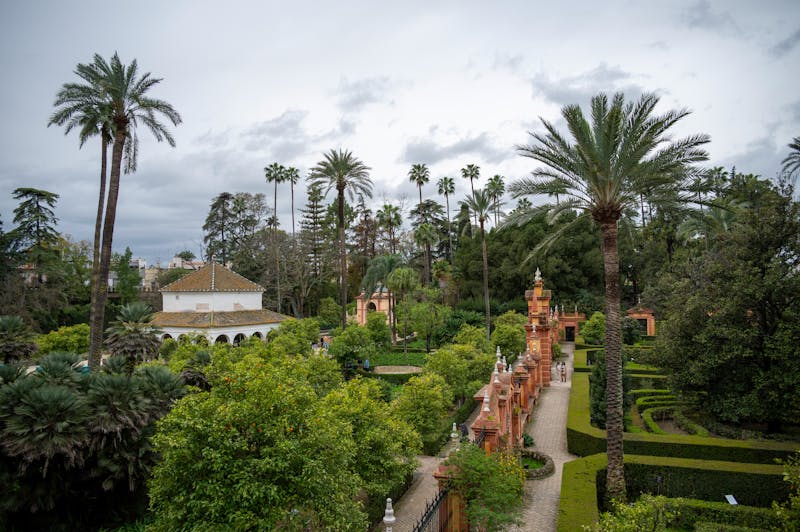 Historic architecture framed by greenery at the Alcazar of Seville