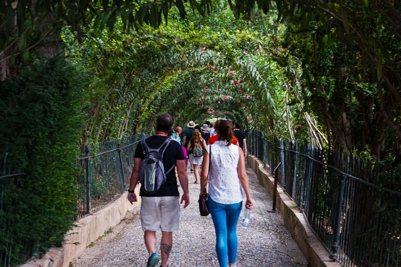 Tourists walking through lush green vine-covered arches in Granada