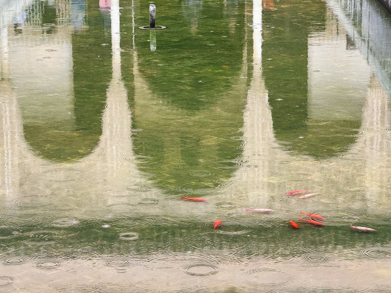The Alhambra fortress reflected in a tranquil pond with koi fish