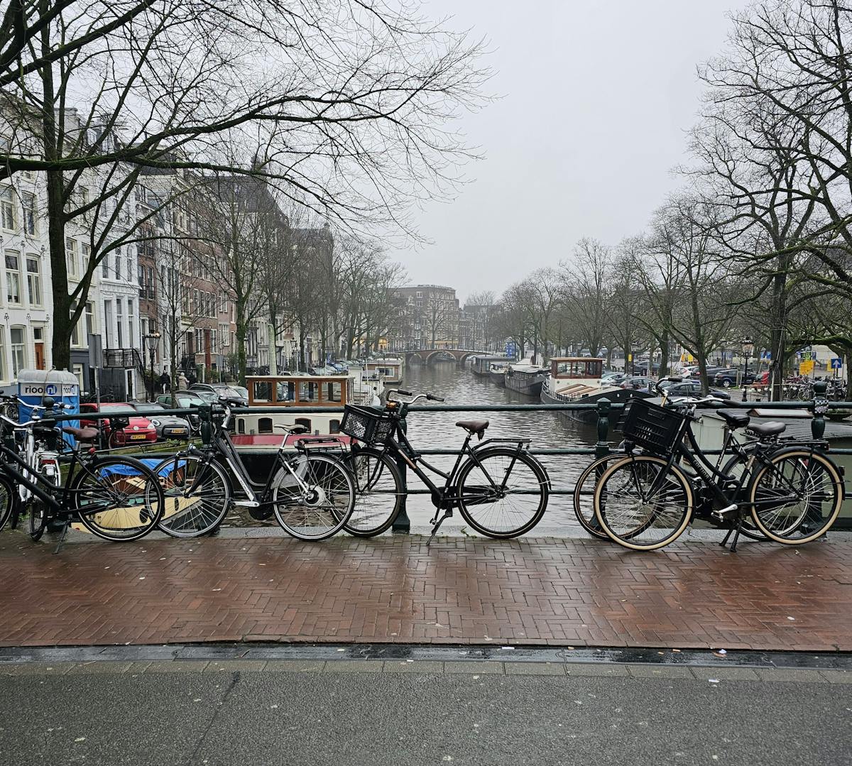 Bicycles lined along a scenic canal in Amsterdam