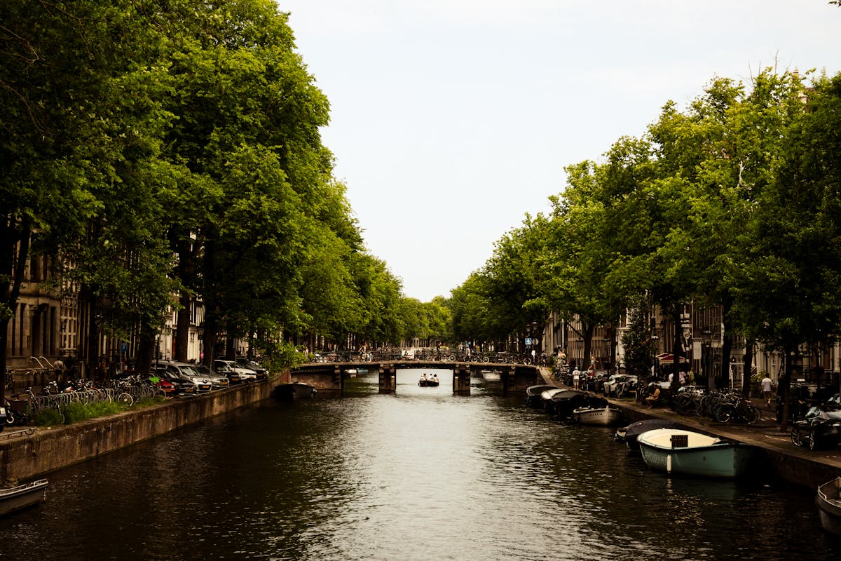 Picturesque Amsterdam canal with boats and trees