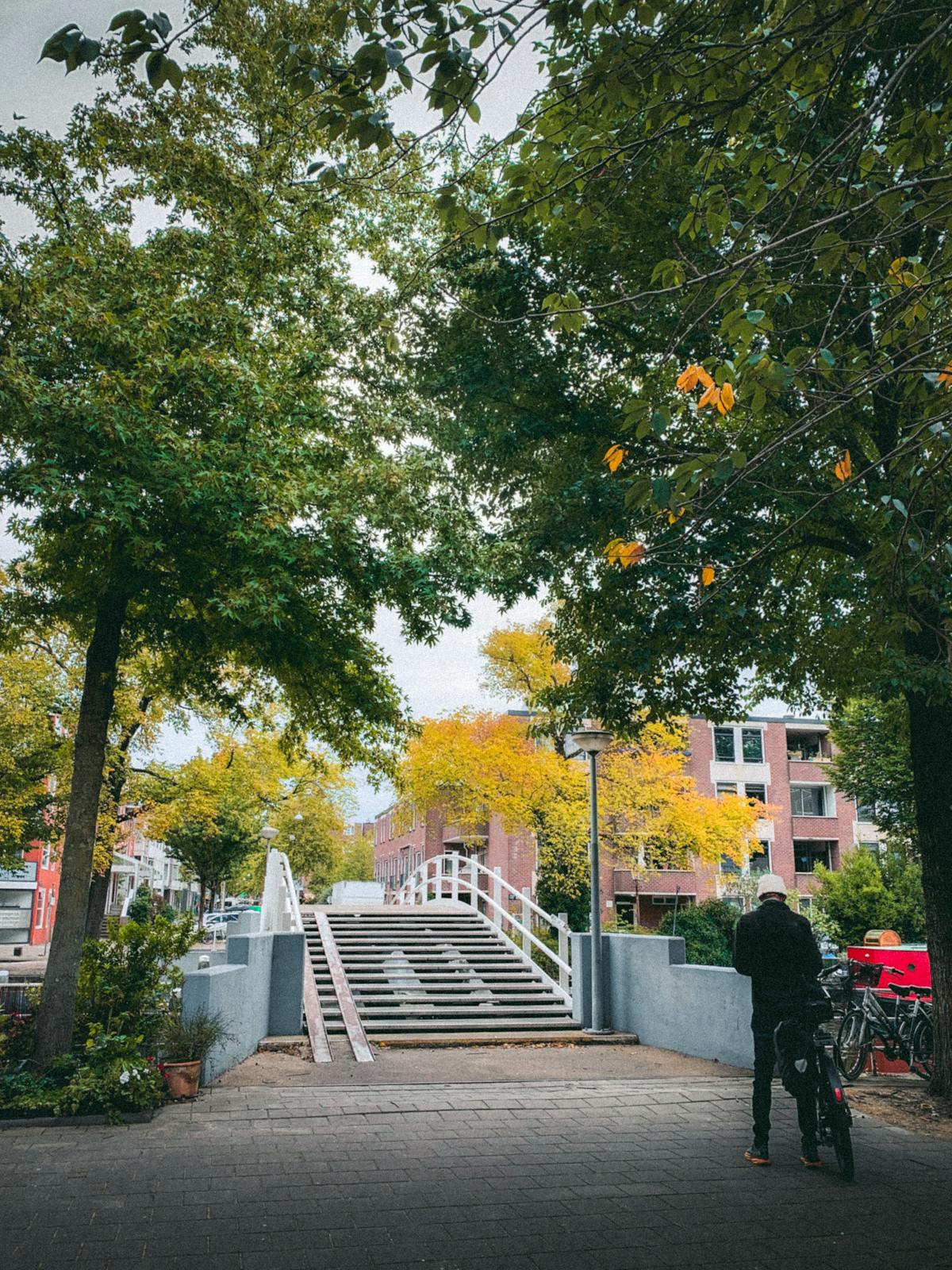 Charming Amsterdam canal bridge framed by autumn foliage in serene urban setting