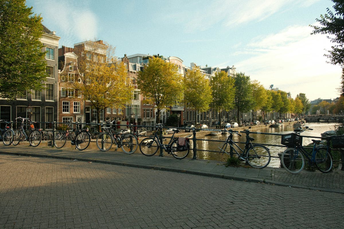 Scenic Amsterdam canal lined with bicycles and trees during autumn
