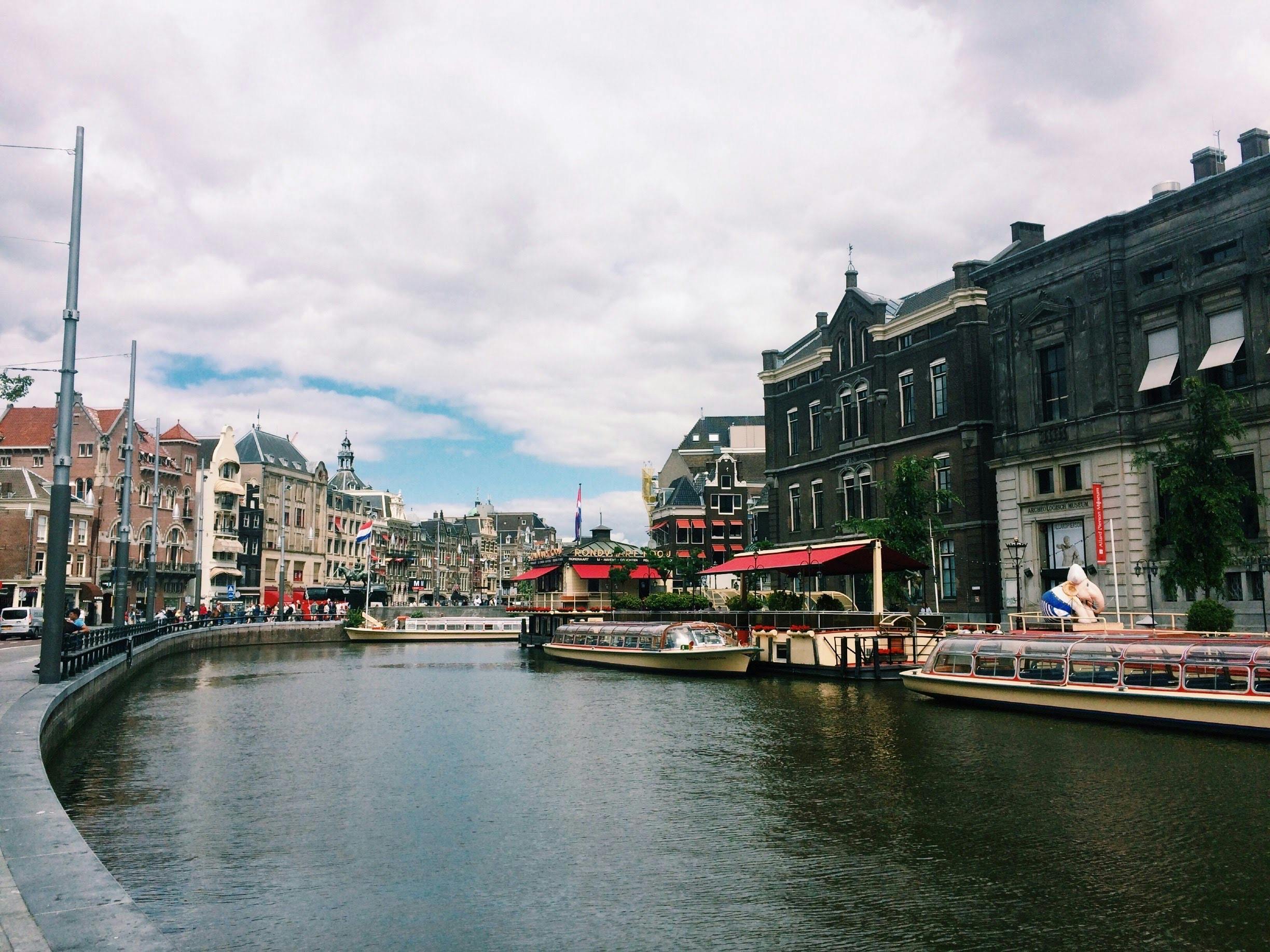 Tour boats cruising along a tree-lined Amsterdam canal with traditional Dutch buildings