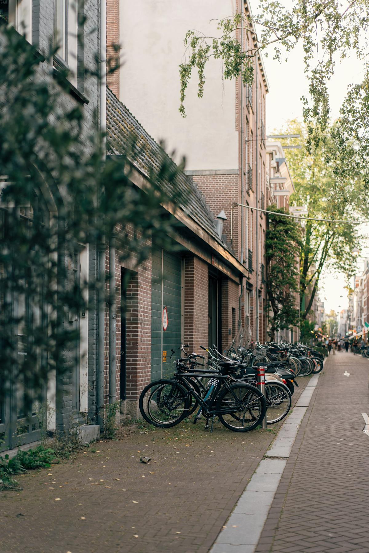 Charming Amsterdam residential street lined with parked bicycles and traditional architecture