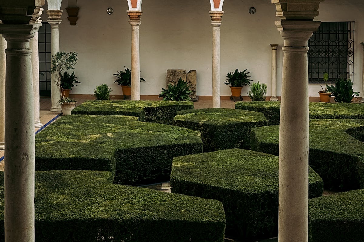 A manicured courtyard garden in a historic Andalusian building