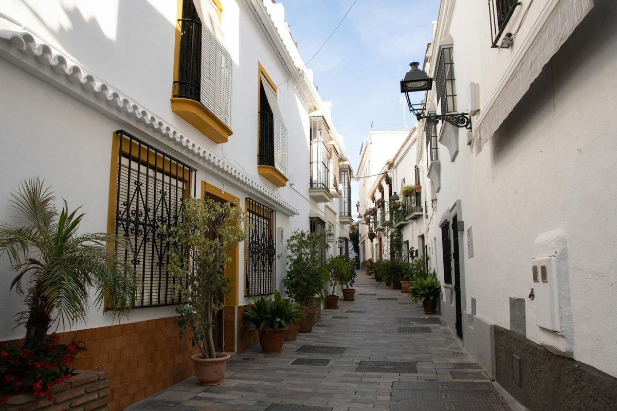 Narrow street in Andalusia lined with whitewashed buildings and green plants
