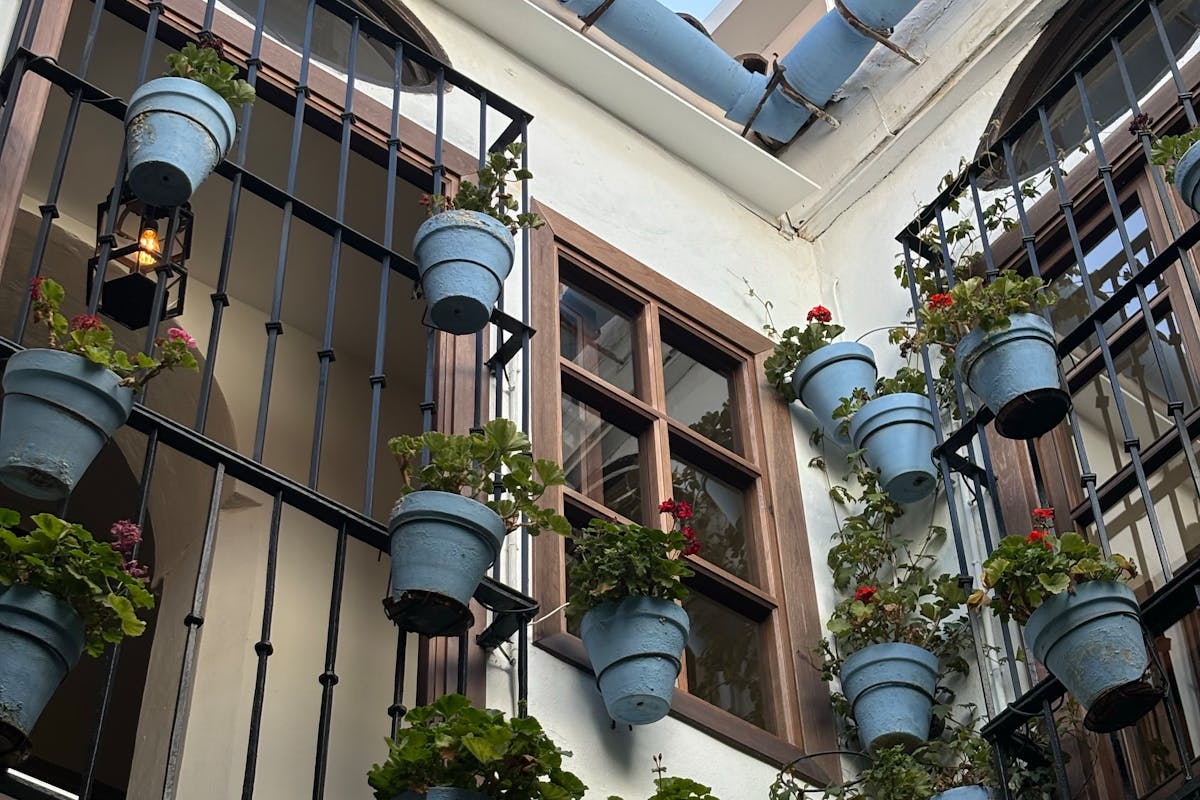 A charming Andalusian courtyard with lush potted flowers