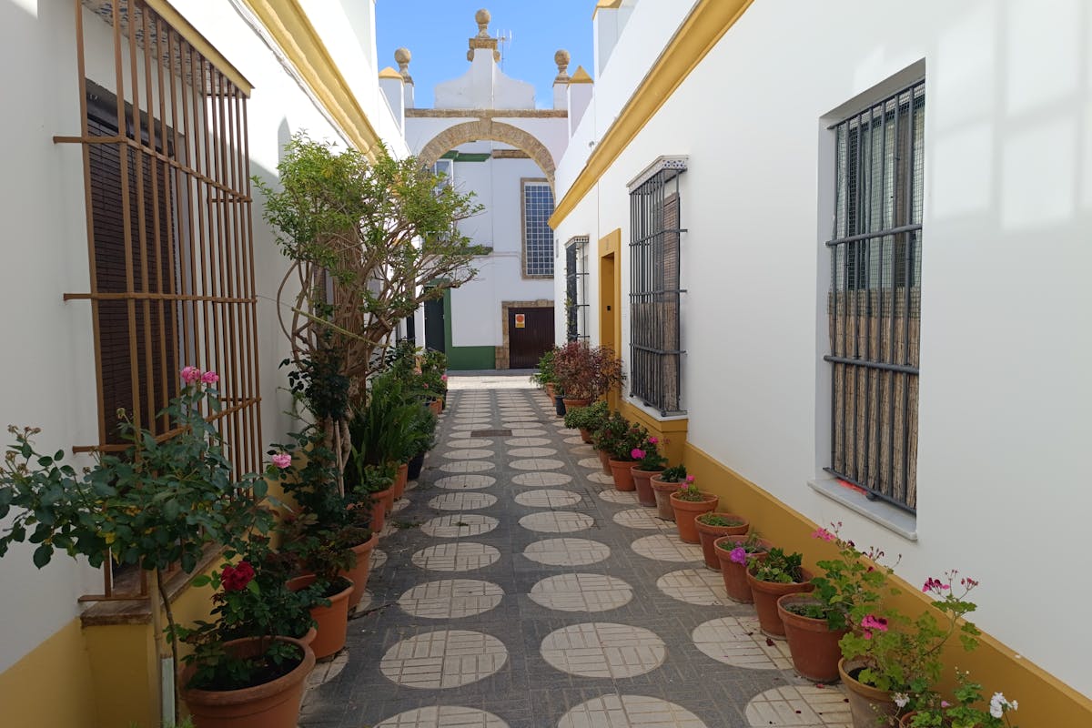 A courtyard with potted plants showcasing Andalusian architecture