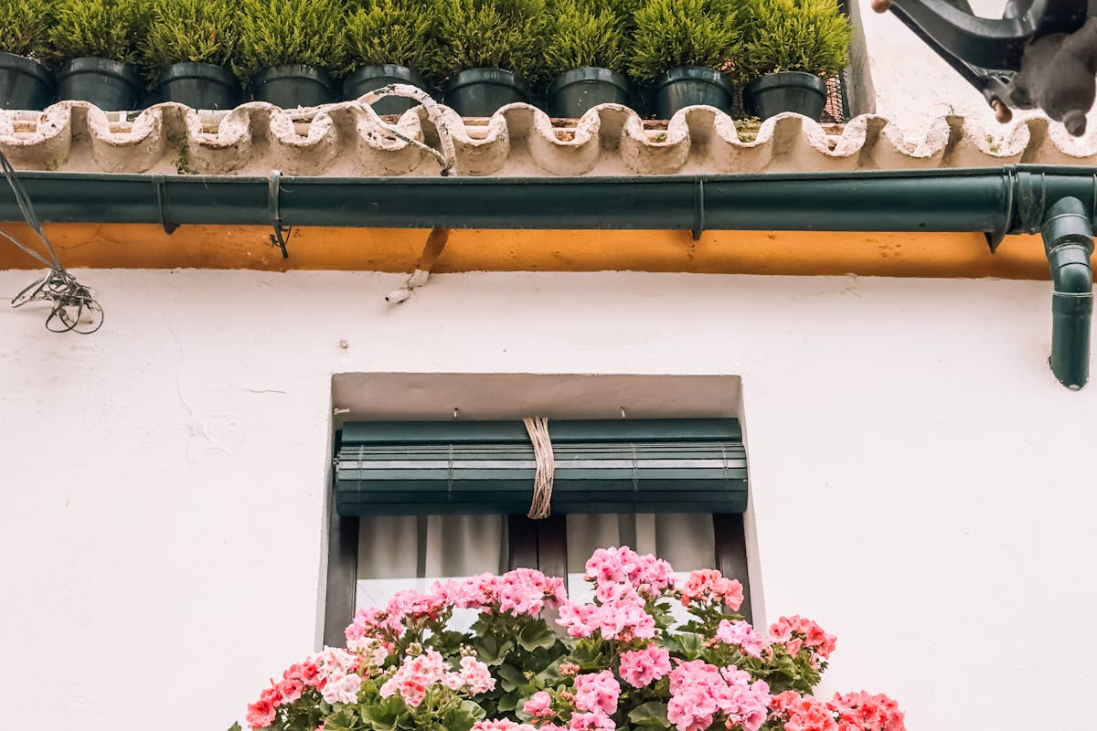 A flower-adorned window showcasing classic Andalusian charm