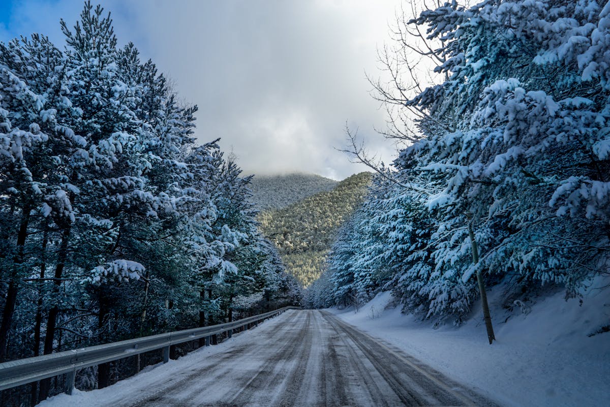 Serene snow-covered road through a tranquil winter forest in Andorra