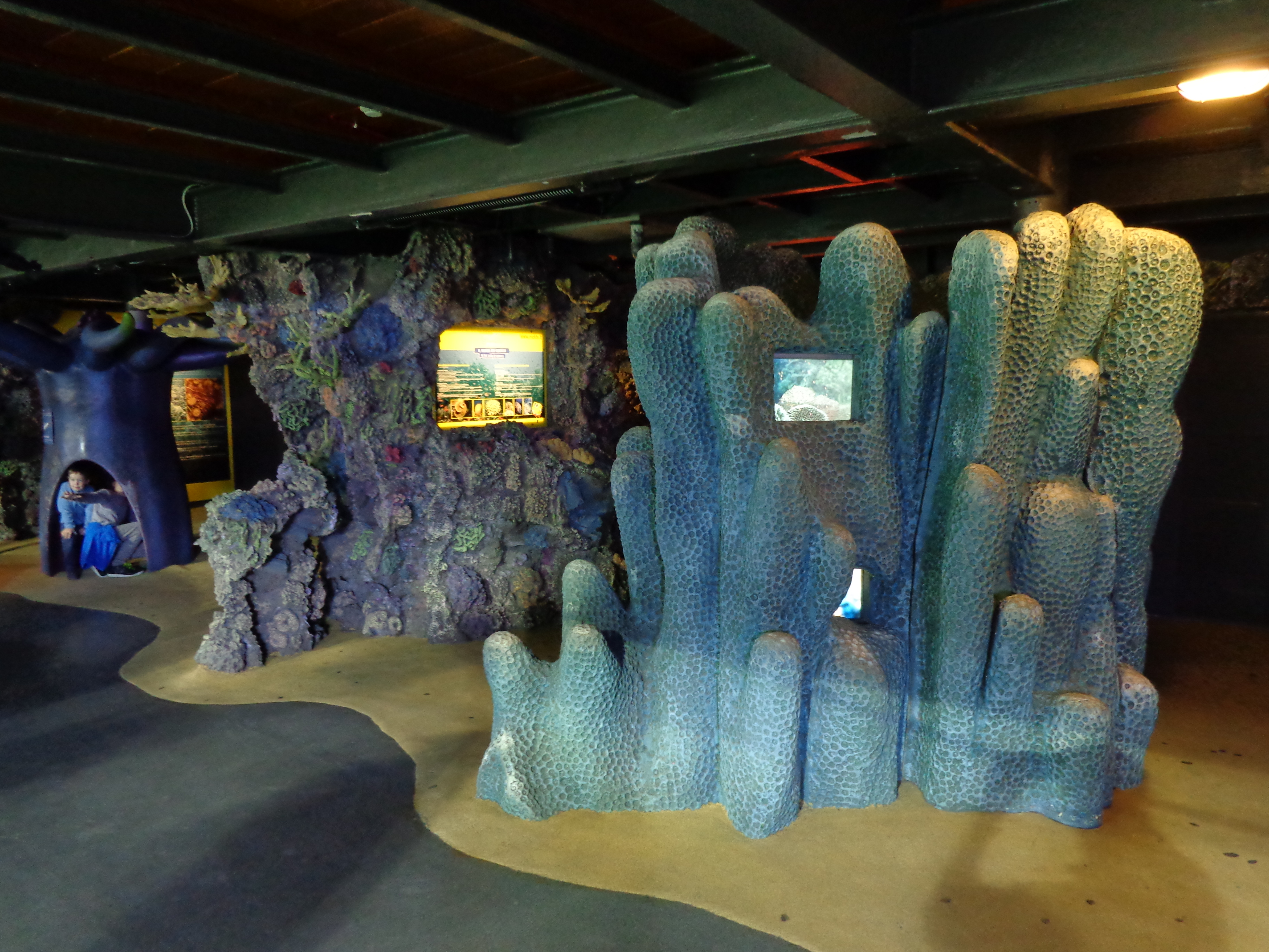 Interior view of the Genoa Aquarium with illuminated marine exhibits
