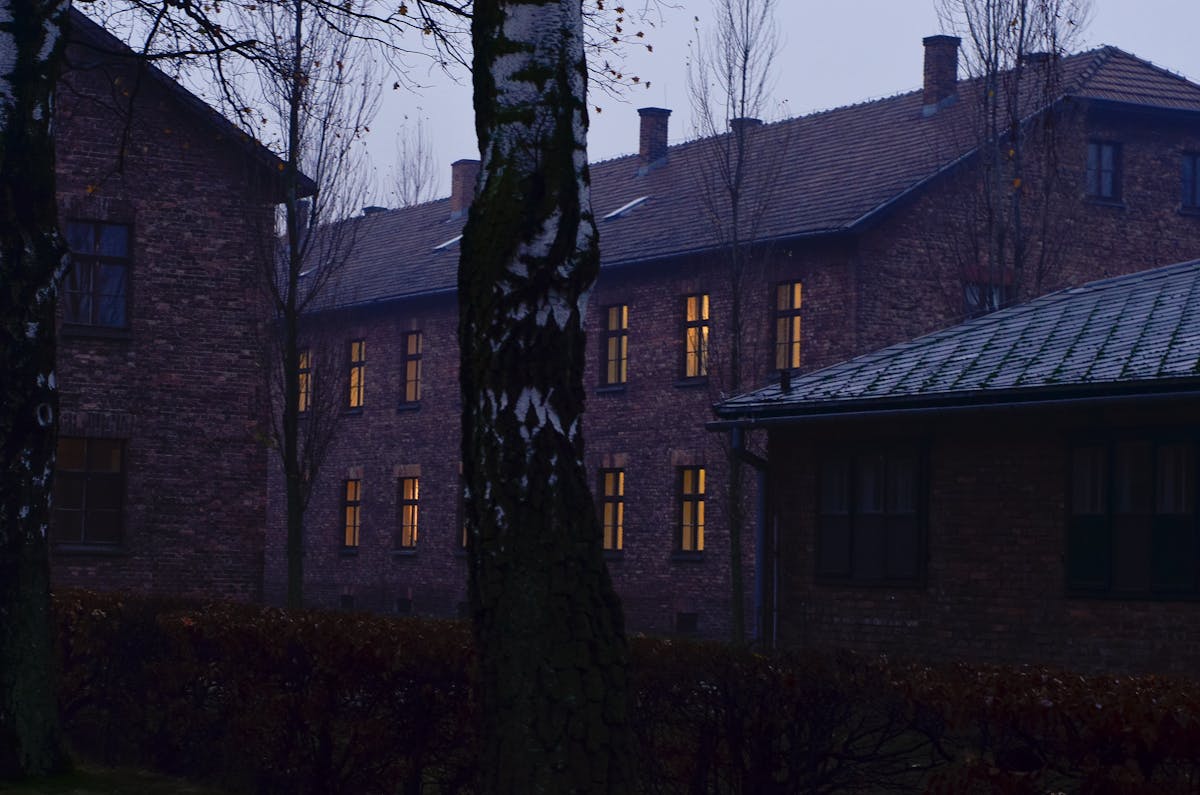 Auschwitz camp buildings and leafless trees in somber winter atmosphere