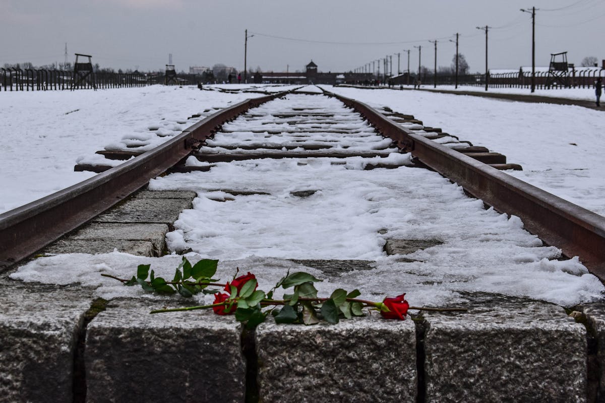 Snow-covered railway tracks with red roses at Auschwitz-Birkenau memorial
