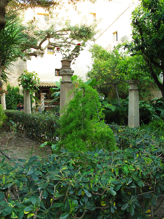 Lush garden courtyard of the historic Arab Baths in Palma de Mallorca