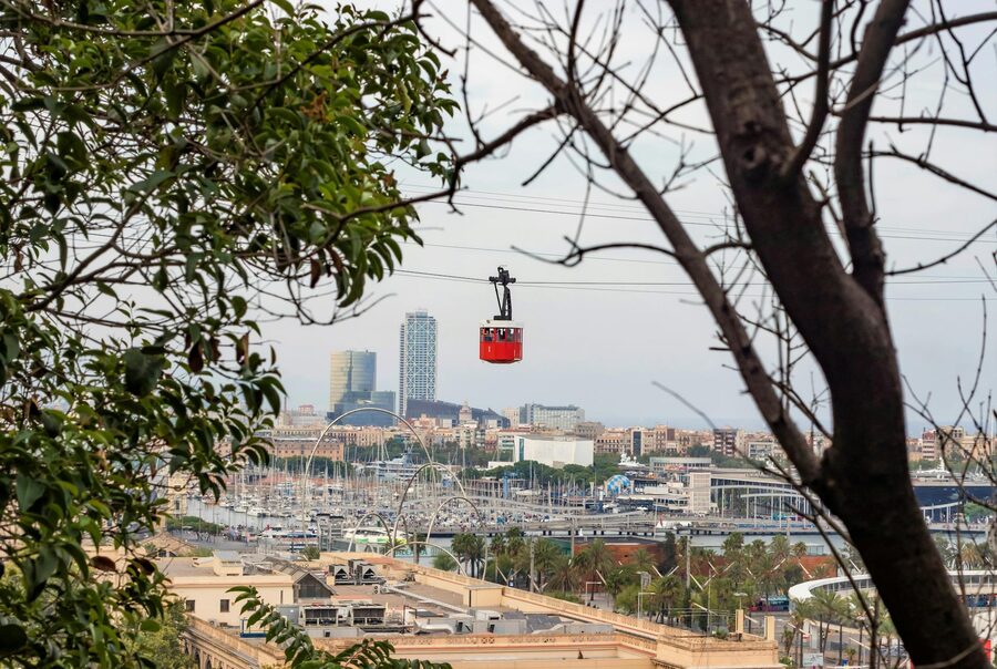 Cable car visible through trees with Barcelona city skyline