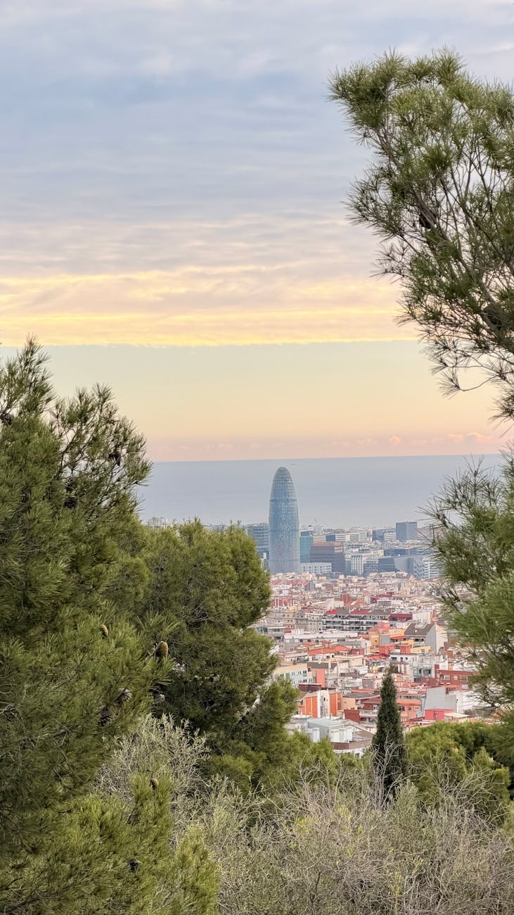Barcelona skyline with Torre Glories visible among greenery at sunset