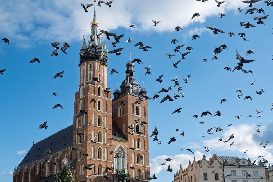 St. Mary's Basilica in Kraków with birds flying against a clear sky