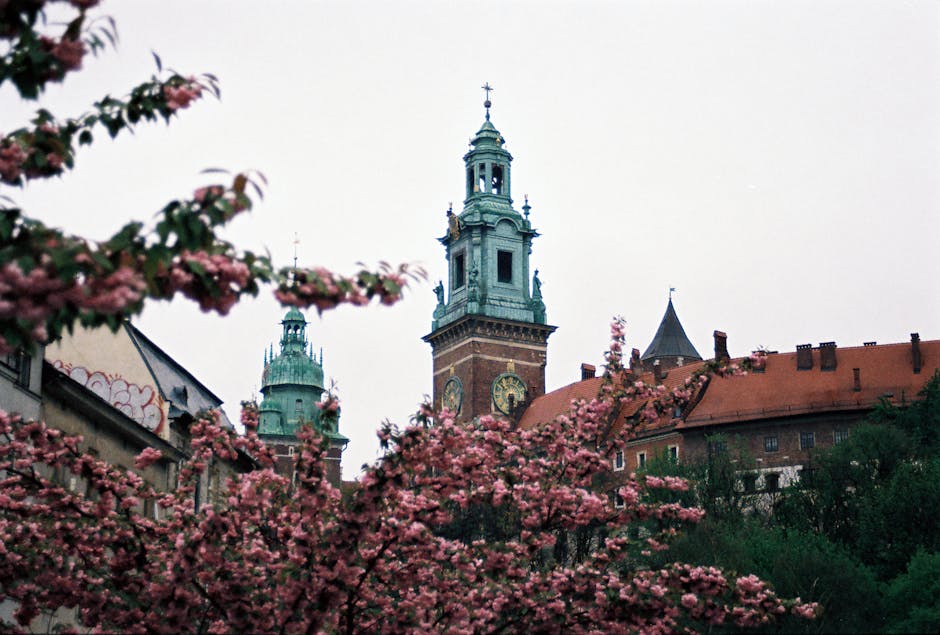 A view of Wawel Castle with cherry blossoms in Kraków, Poland
