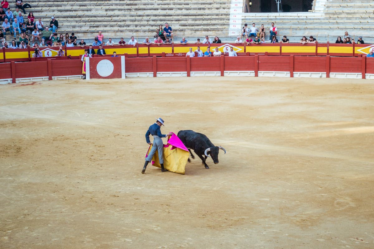 Bullfight scene at a Spanish arena