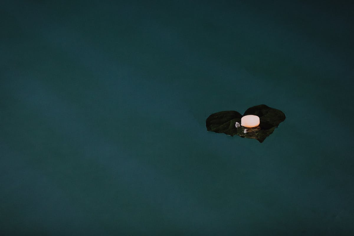 Burning candle on a leaf floating on water