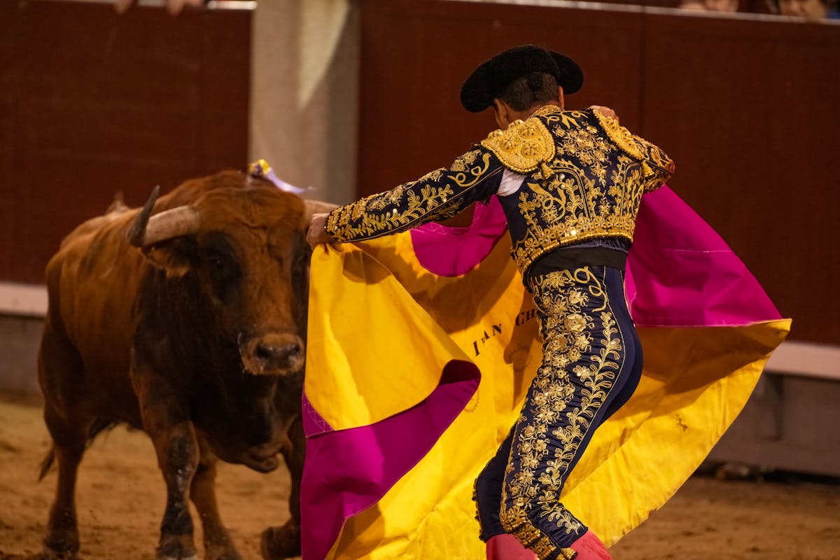 Matador performing a pass during a bullfight at Plaza de Toros Madrid