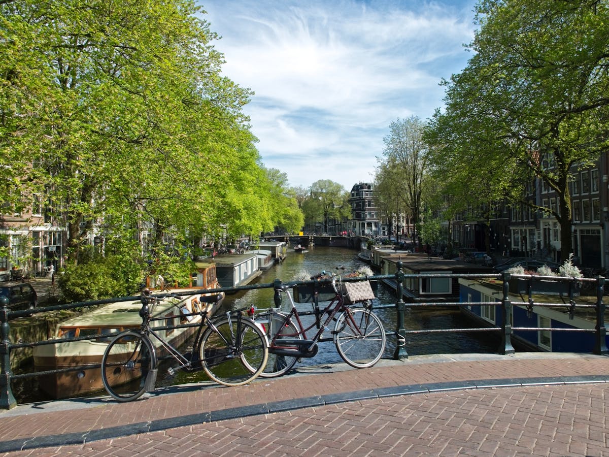 Bicycles parked on a bridge over an Amsterdam canal with spring greenery