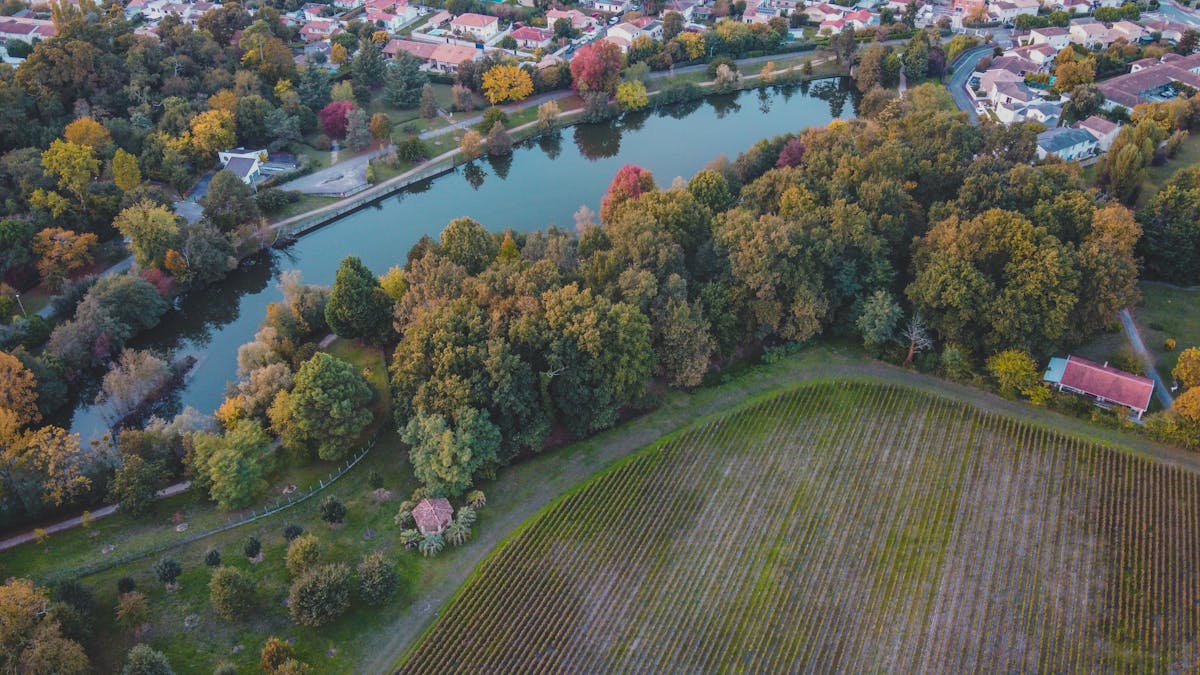 Sweeping aerial view of autumn-colored vineyards along the Garonne river near Bordeaux