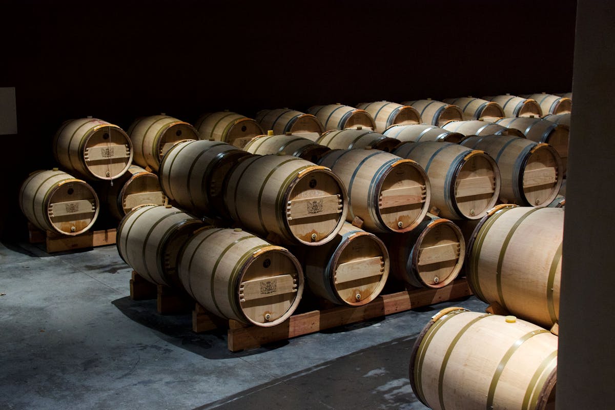 Rows of oak wine barrels stacked in a dimly lit cellar in Pauillac, France
