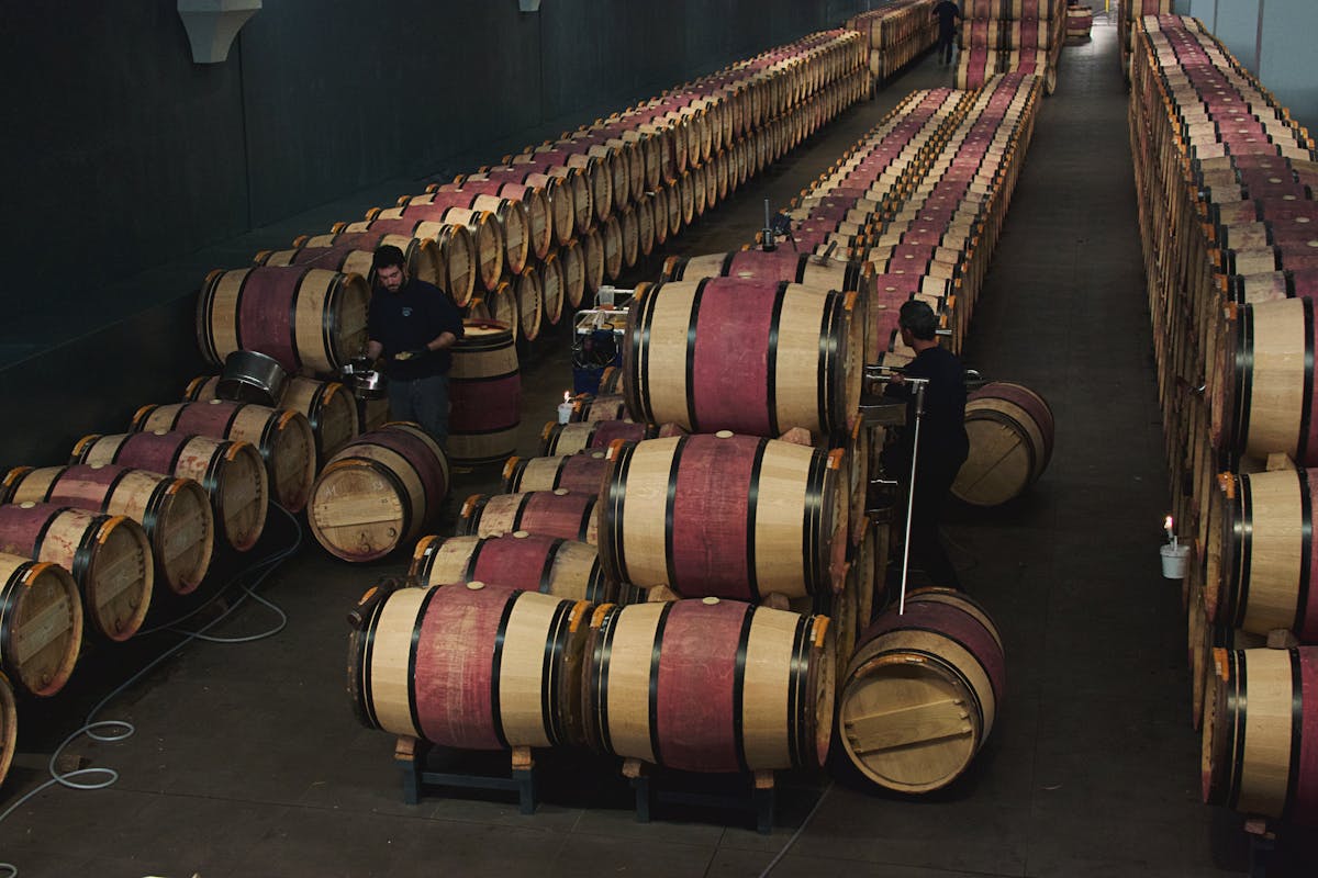 Looking down at rows of oak wine barrels in a Margaux cellar in Bordeaux