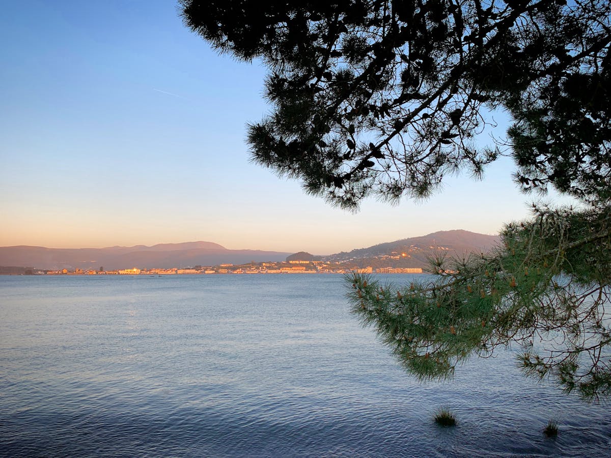 Serene sunset view of a river in Galicia framed by pine trees