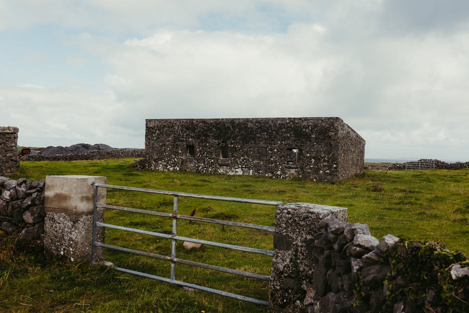 Traditional Irish guesthouse exterior with flowers and stone facade