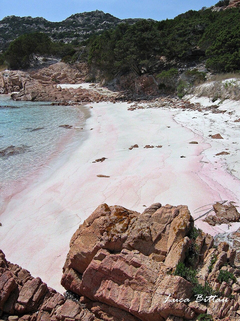 Spiaggia Rosa, the famous pink beach on Budelli island in the La Maddalena Archipelago