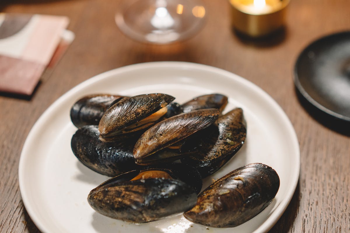 Delicious mussels served on a white plate gourmet style