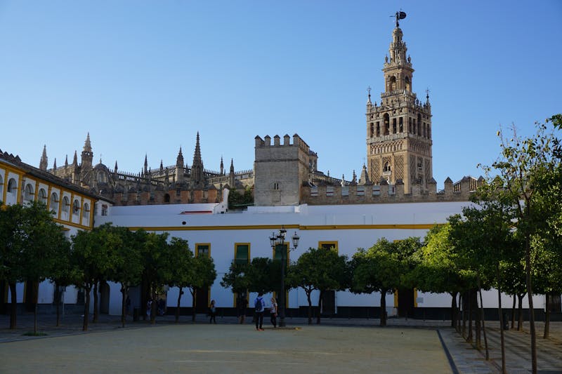 View of the Giralda Tower and Seville Cathedral with trees in the foreground