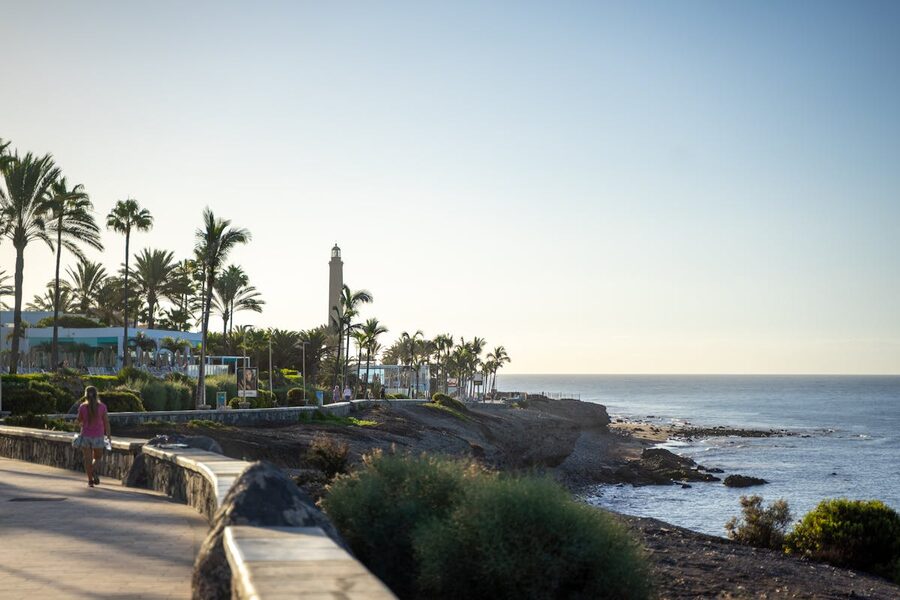Serene coastal walking path with palm trees and a lighthouse under clear sky in Tenerife
