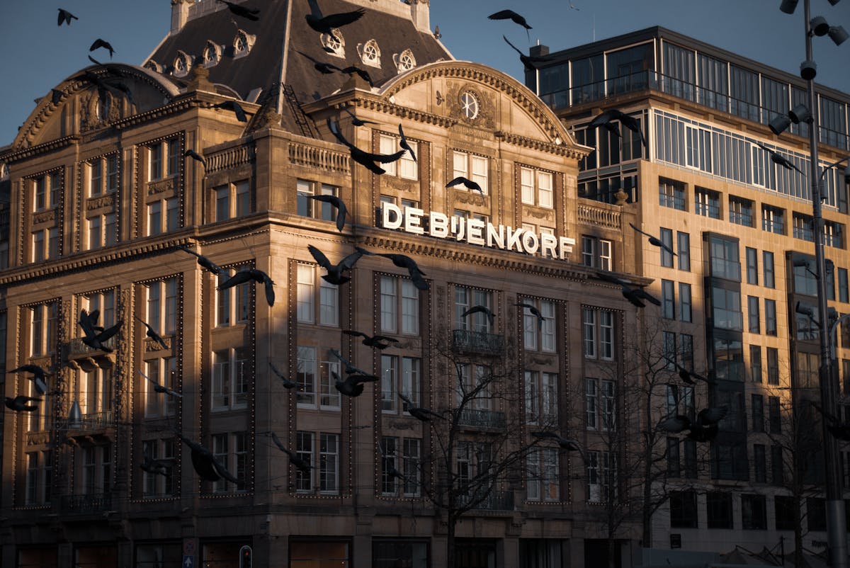 Elegant architecture of De Bijenkorf with pigeons flying in Amsterdam
