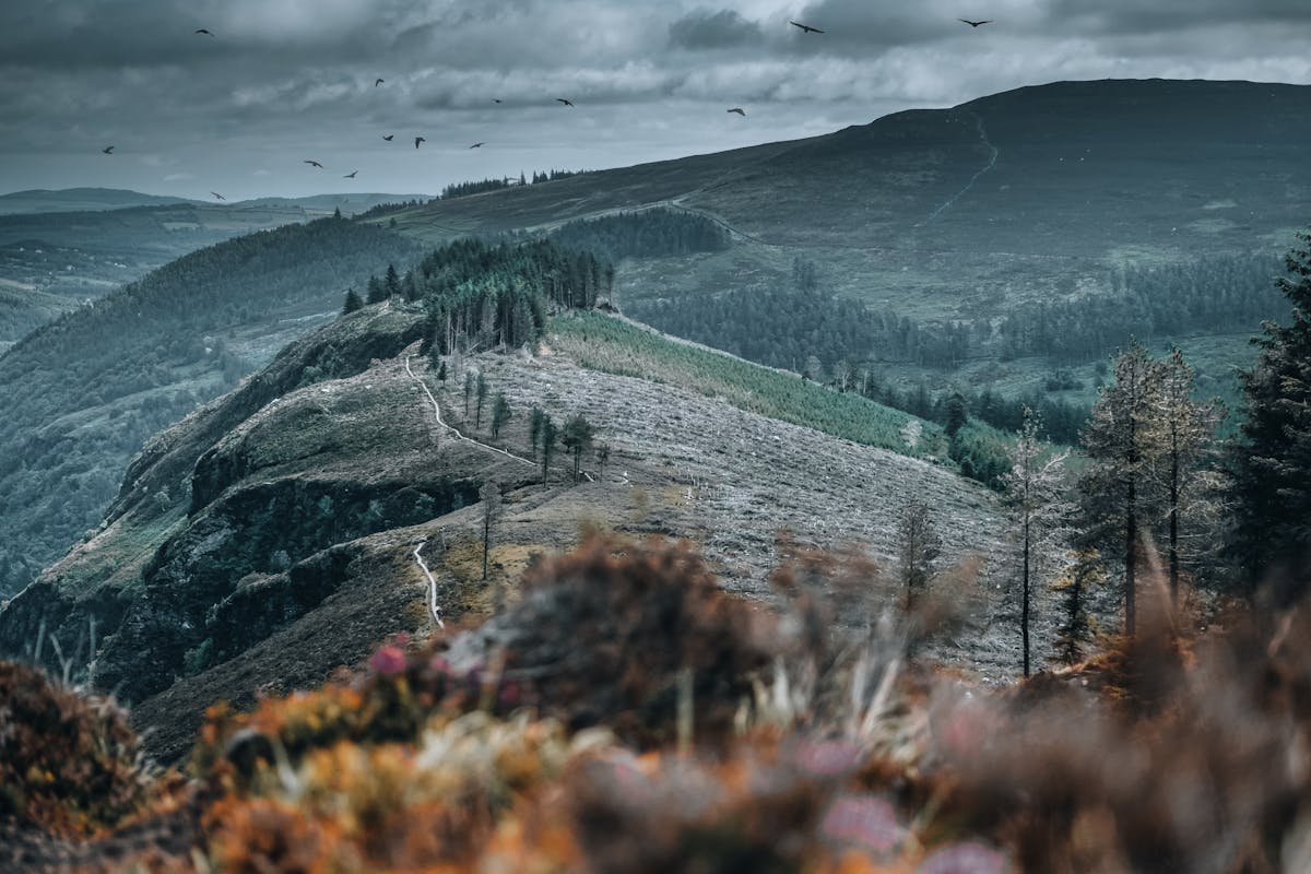 Wicklow Mountains with cloudy sky and lush green landscape