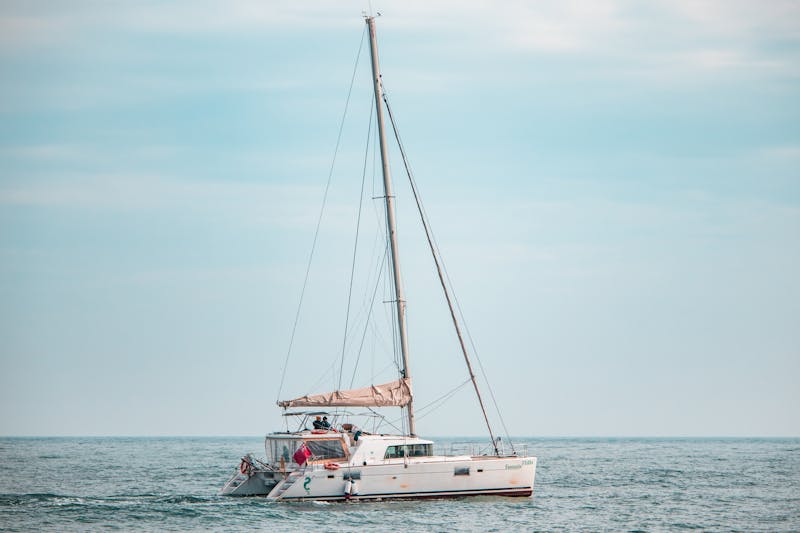 A catamaran sails on calm blue ocean waters under a pastel sky