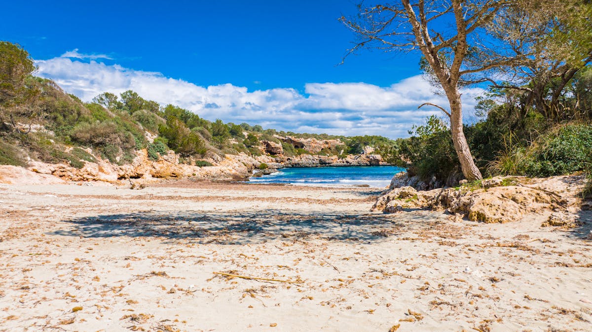 Beach cove with turquoise water and rocky cliffs on a sunny day