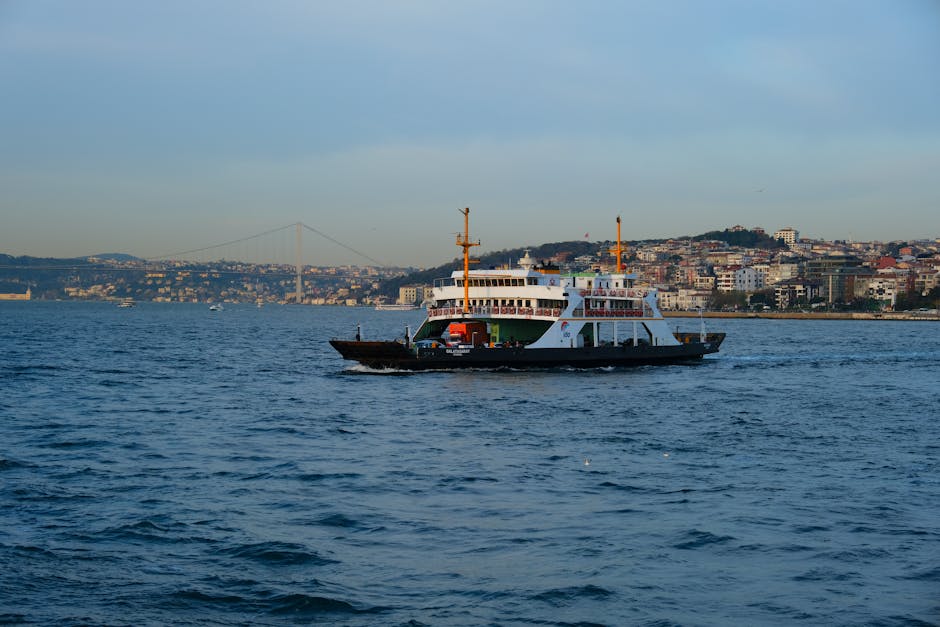 Dolmabahce Palace looks enormous from the water, and the cruise angle is the one most visitors never get.